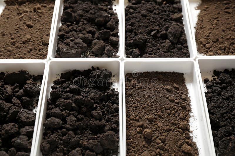 Containers with Soil Samples. Laboratory Research Stock Photo - Image ...