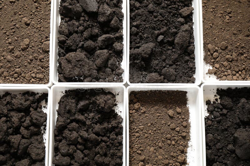 Containers with Soil Samples. Laboratory Research Stock Photo - Image ...