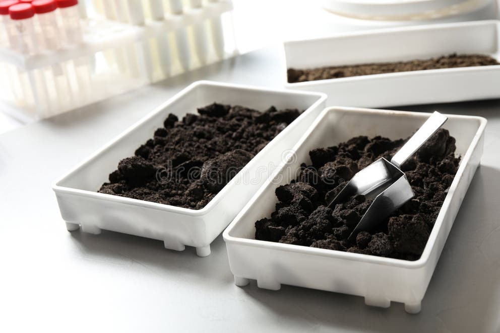 Containers with Soil Samples. Laboratory Research Stock Image - Image ...