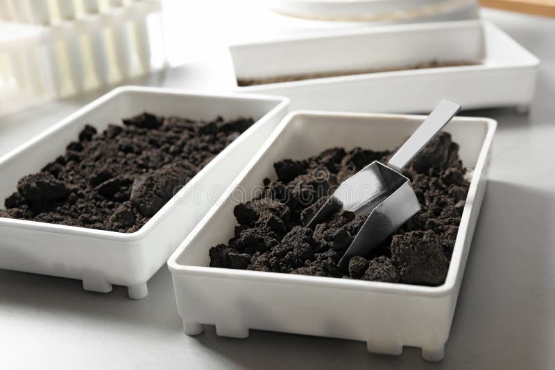 Containers with Soil Samples. Laboratory Research Stock Photo - Image ...