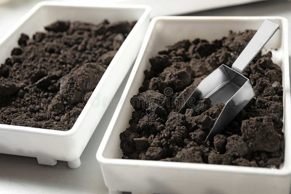 Containers with Soil Samples on Table. Laboratory Research Stock Photo ...