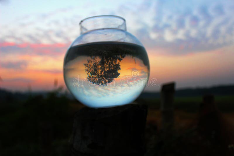 Life in a Different Perspective Stock Photo - Image of nature, life ...