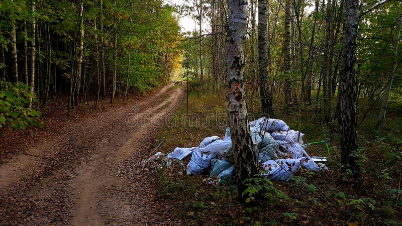 Contaminación Forestal, Basura Plástica En Los Pinos Desechos De ...