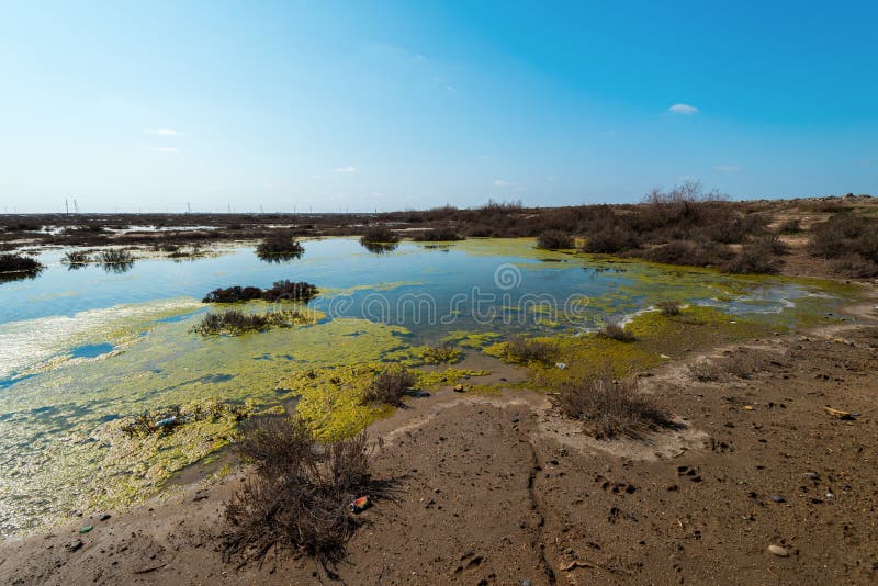Contaminated Lake Full With Mining Residuals In Rosia Mont Stock Image ...