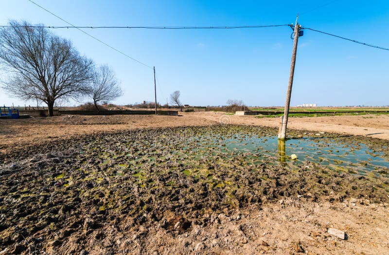 Contaminated dry lake stock photo. Image of damage, environmental ...