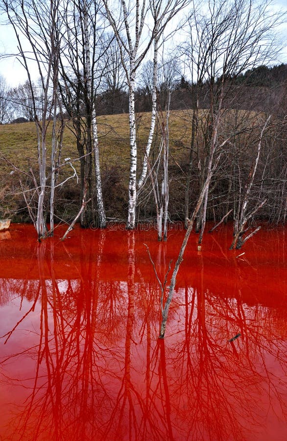 Contaminated Mine Water Pollution of a Copper Mine Exploitation Stock ...
