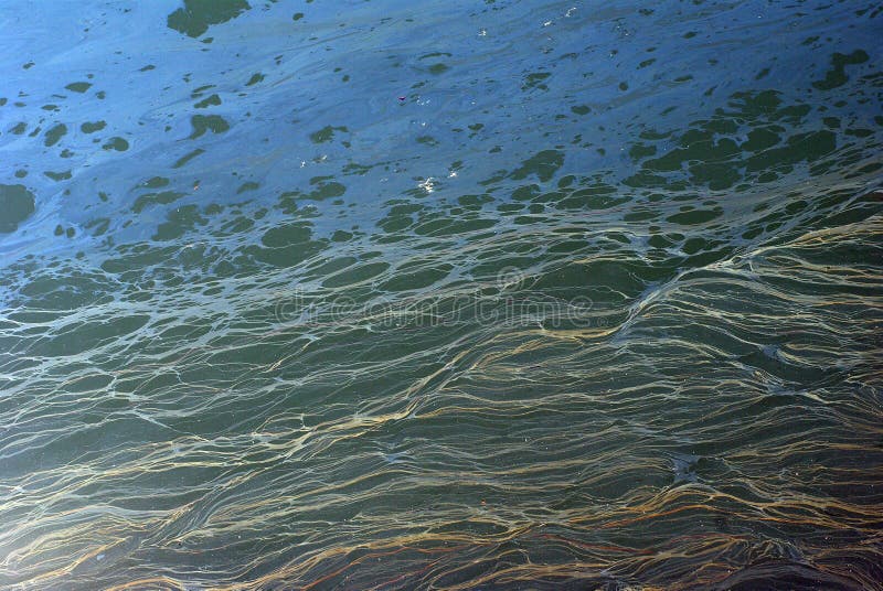 Contaminated sea stock photo. Image of ecology, liquid - 7139142