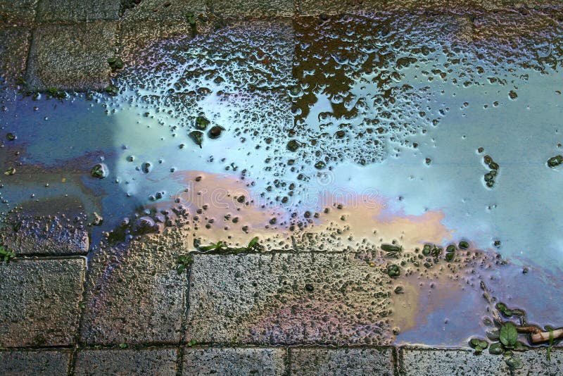 Contaminated water stock photo. Image of water, surface - 6205310