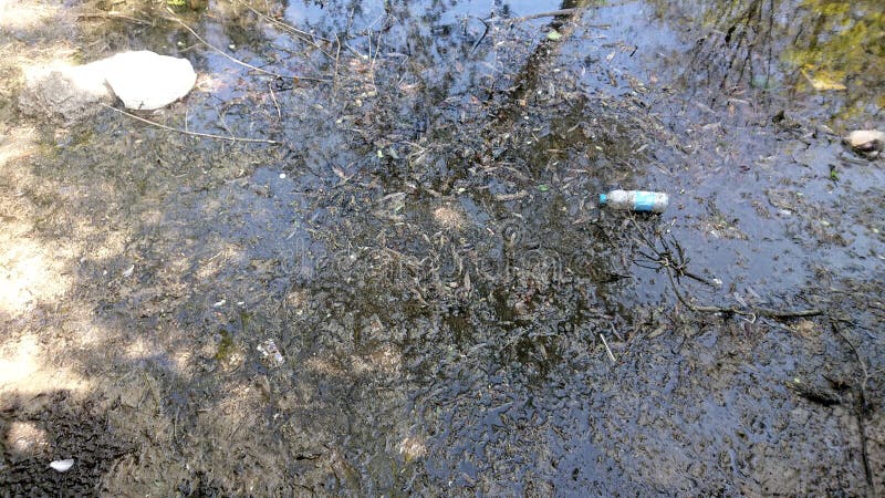 Contaminated Water Waste Plastic Ambiental Destruction Stock Photo ...