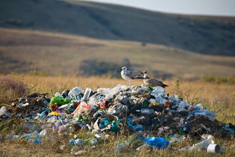 Contamination of nature stock image. Image of ugly, gather - 10841829