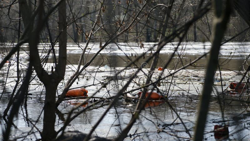Contamination Pond: Plastic Bottles Left by People Thrown Like Garbage ...