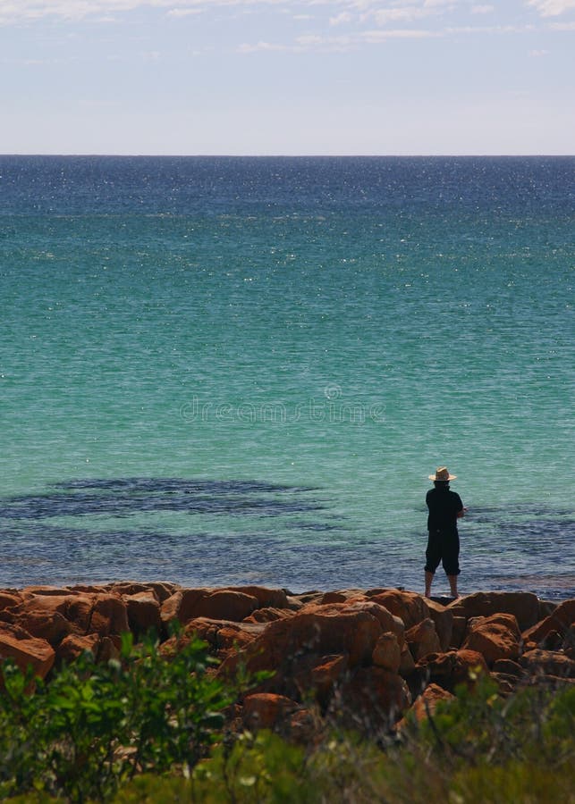 Contemplando a Vida De Um Esquilo Imagem de Stock - Imagem de vida ...