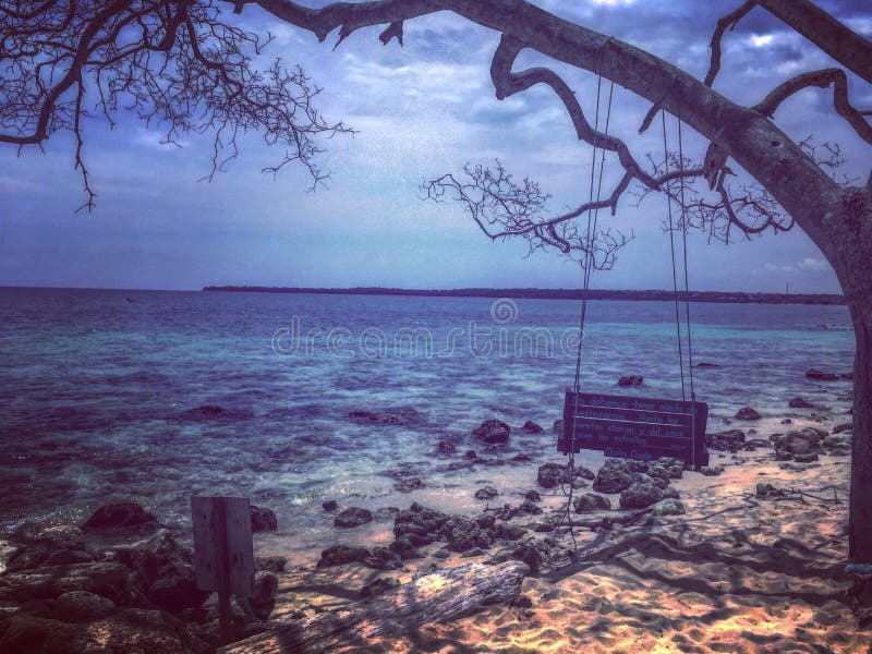 Contemplation Of Beauty In Nature Stock Image - Image of holiday ...