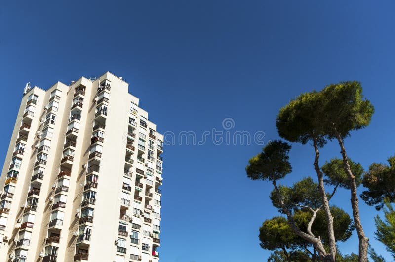 Contemporary Architecture Building with Pine Trees Stock Image - Image ...