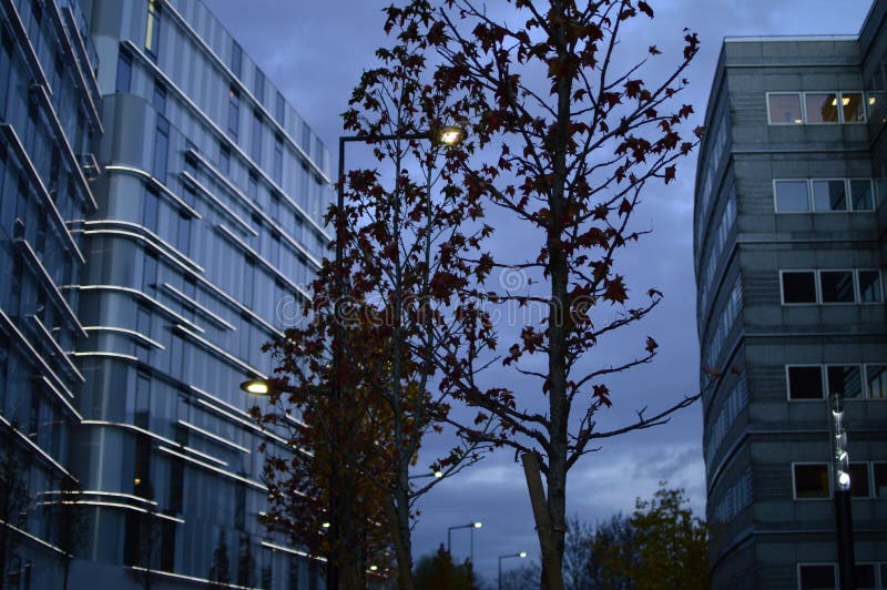 Contemporary Architecture with Many Windows in the Evening Stock Photo ...