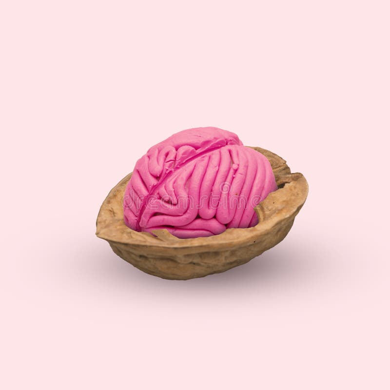 Contemporary Art Collage. Human Brains in Nutshell Stock Illustration ...