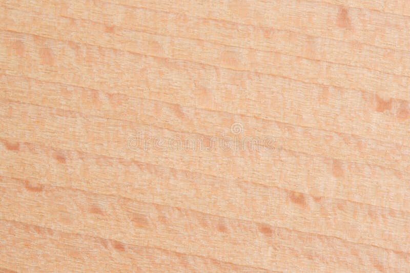 Contemporary Beech Wood Texture. Clean and Sleek, Suitable for Modern ...