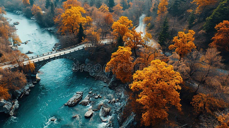 Contemporary Bridge on Ocean Forest Front Aerial View Landscape ...
