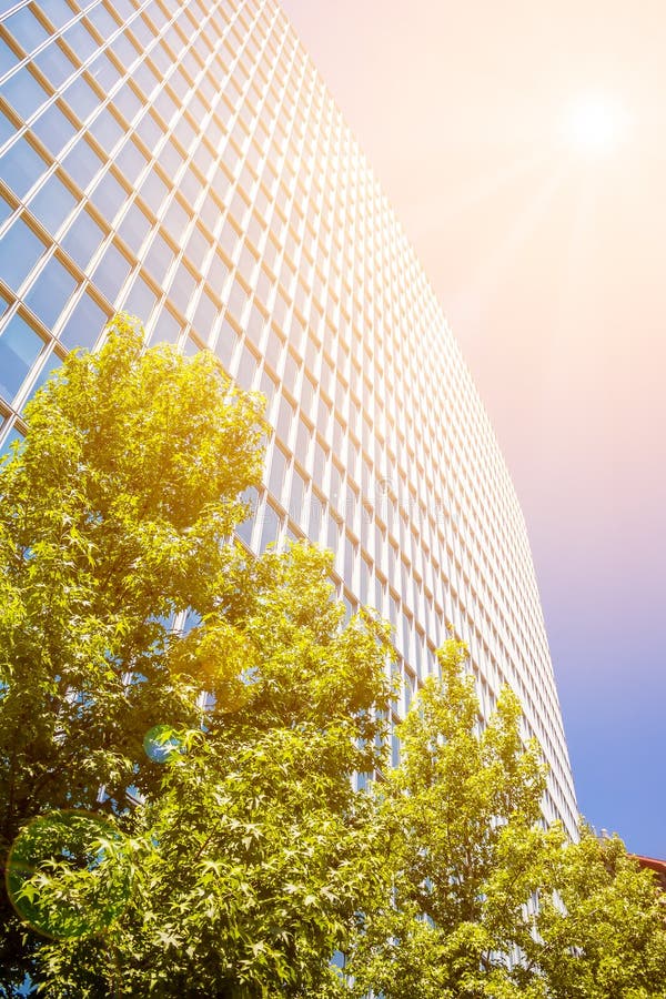 Contemporary Office Building with Green Leaves and Sunlight Stock Photo ...