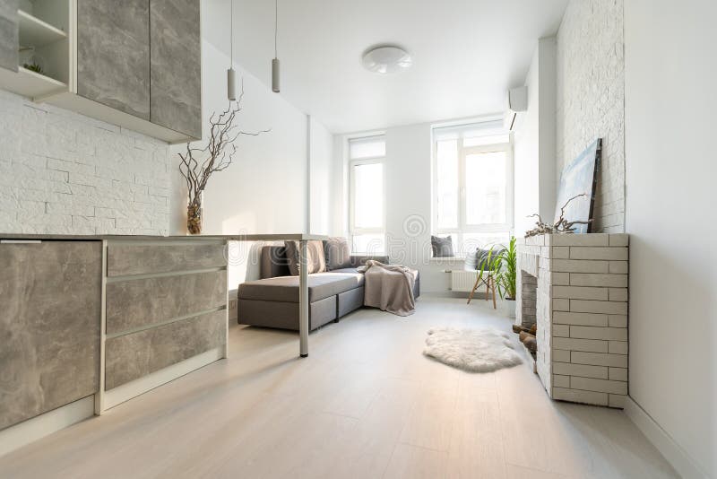 Contemporary Studio Apartment with Kitchen Open To Living Room. Stock ...