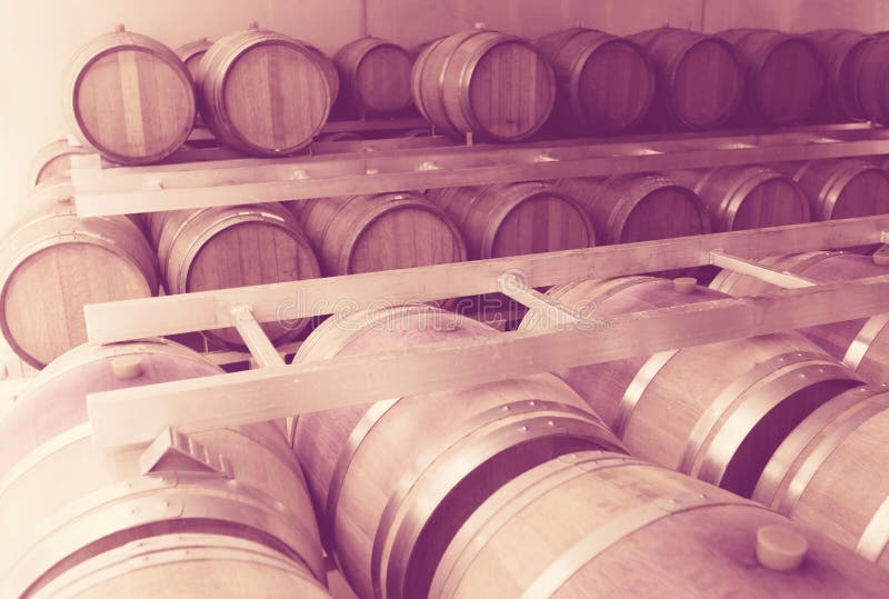 Contemporary wine factory stock image. Image of burgundy - 44289755