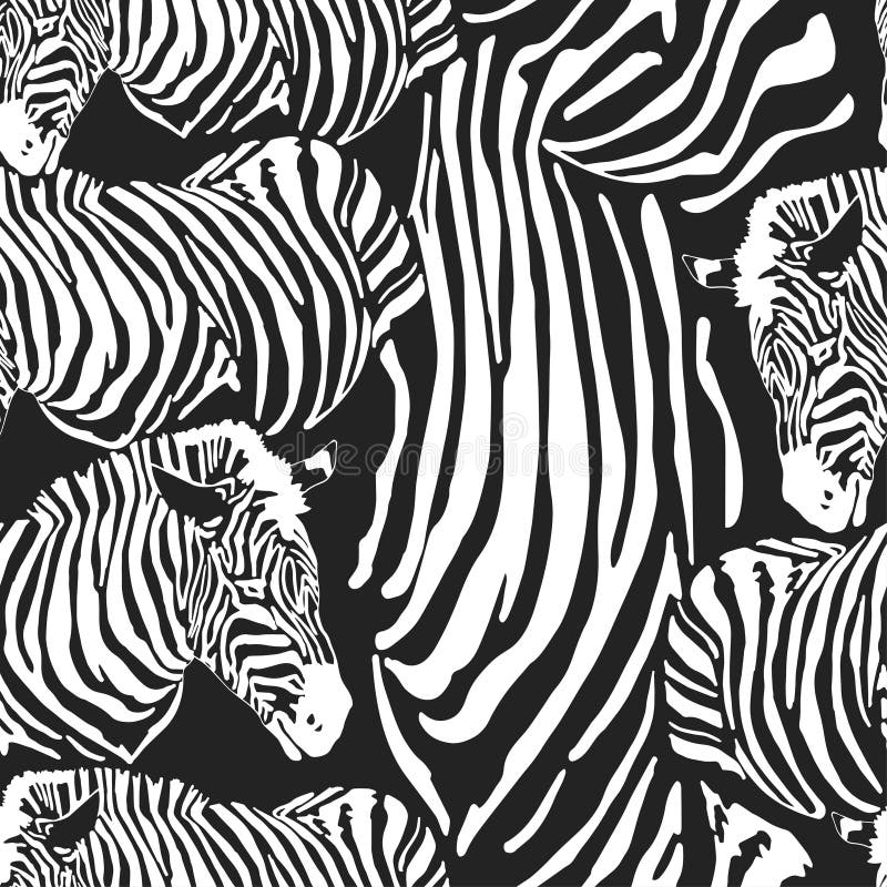 Contemporary Zebra Seamless Patter. Black and White Fabric Pattern ...