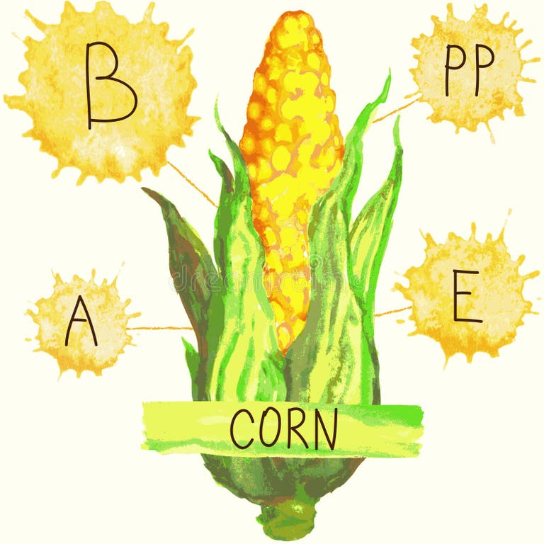 Seed Content Stock Illustrations – 6,333 Seed Content Stock ...