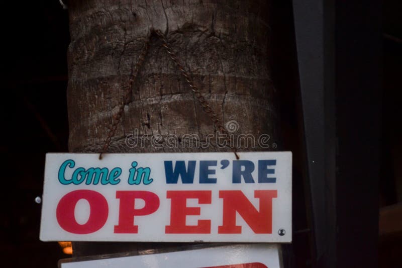 A White Warning Sign Stuck in a Coconut Tree Trunk Photo Art Stock ...