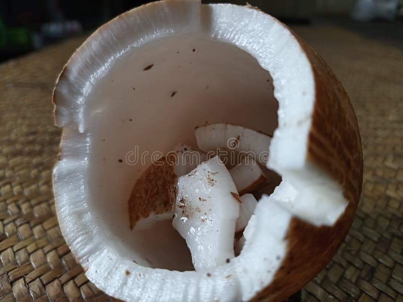 The Contents of a Coconut that Has Had Its Hard Skin Removed Stock ...