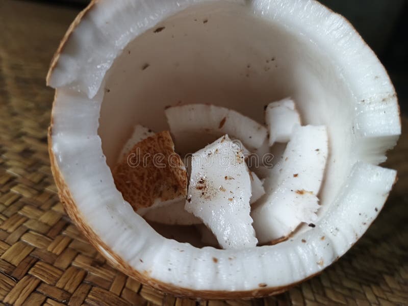 The Contents of a Coconut that Has Had Its Hard Skin Removed Stock ...