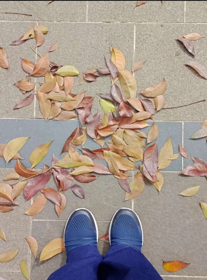 Continuing Steps Stock Photos - Free & Royalty-Free Stock Photos from ...