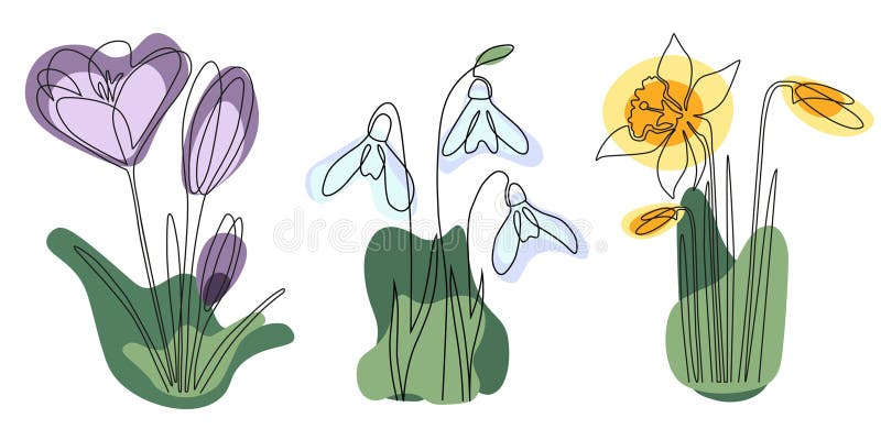 Continuous Abstract One Black Line Colorful Snowdrops, Crocuses ...