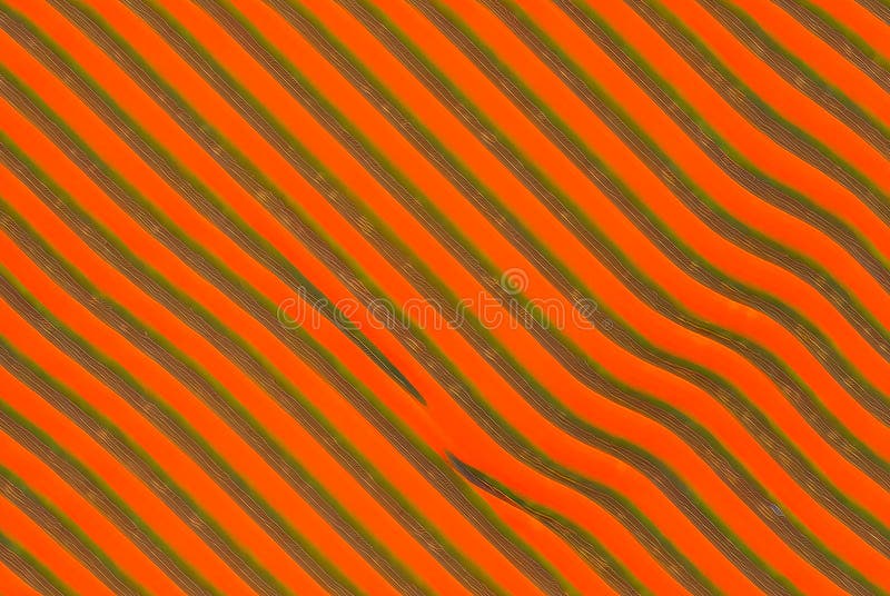 A Continuous Belt of Geometric Print Wallpaper Pattern Painted As ...