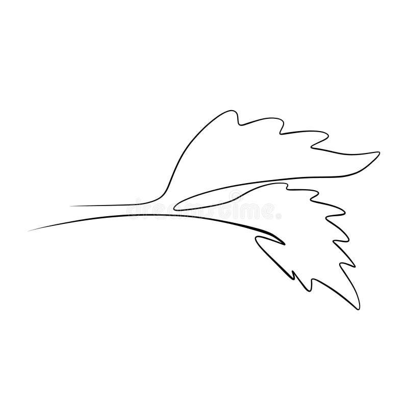 Continuous Drawing of Lines. Line Art of Leaves Vector Minimalistic ...