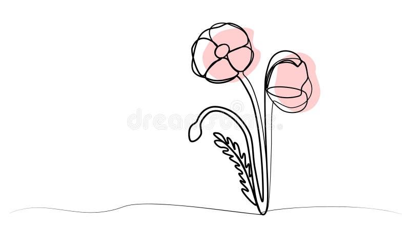 Drawing Poppy Stock Illustrations – 38,170 Drawing Poppy Stock ...