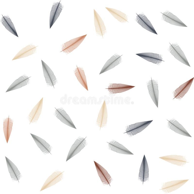Avian Feathering Stock Illustrations – 97 Avian Feathering Stock Illustrations, Vectors ...