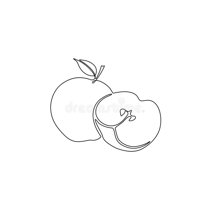 Continuous Line Apple and Sliced Apple. Vector Illustration. Stock ...