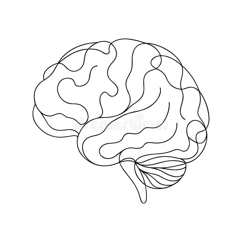 Continuous Line Art of Brain. Simple Line Art Isolated Stock Vector ...