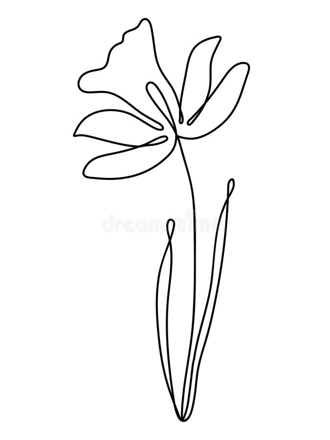 Continuous Line Art Flower Stock Illustrations – 4,400 Continuous Line ...
