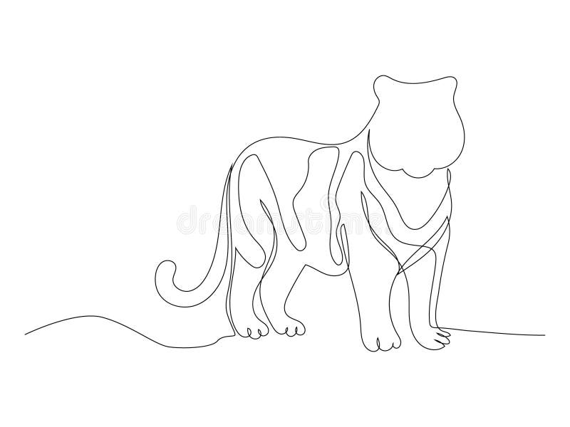 Continuous Line Art of a Tiger. Stock Vector - Illustration of ...
