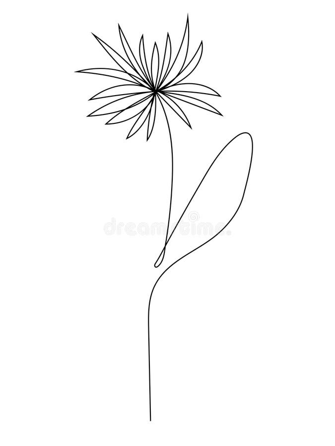 Continuous Line Drawing September Flower Stock Illustrations – 20 ...