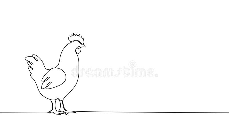 Continuous Line Banner Chicken. Poultry. Linear Minimal Style Stock ...