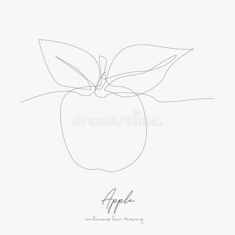 Continuous Line Drawing. Apple. Simple Vector Illustration. Apple ...