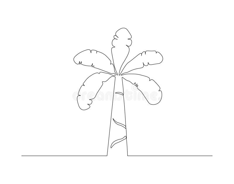 Continuous Line Drawing of Banana Tree. One Line of Banana Plant ...