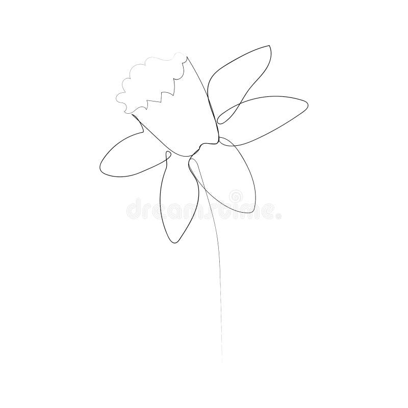 One Line Narcissus Drawing Stock Illustrations – 79 One Line Narcissus ...