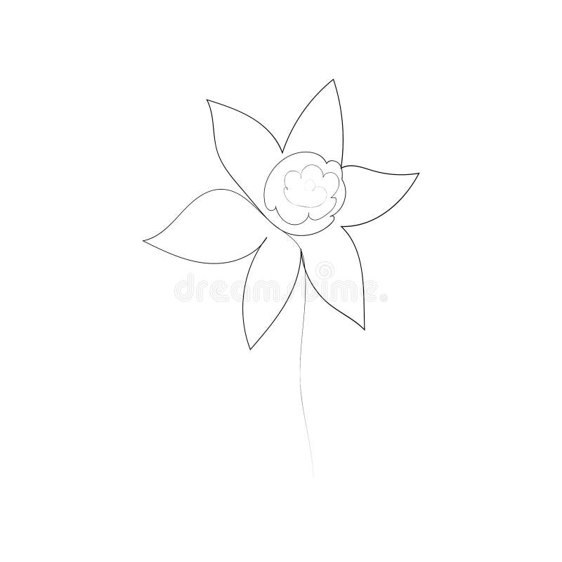 One Line Narcissus Drawing Stock Illustrations – 79 One Line Narcissus ...
