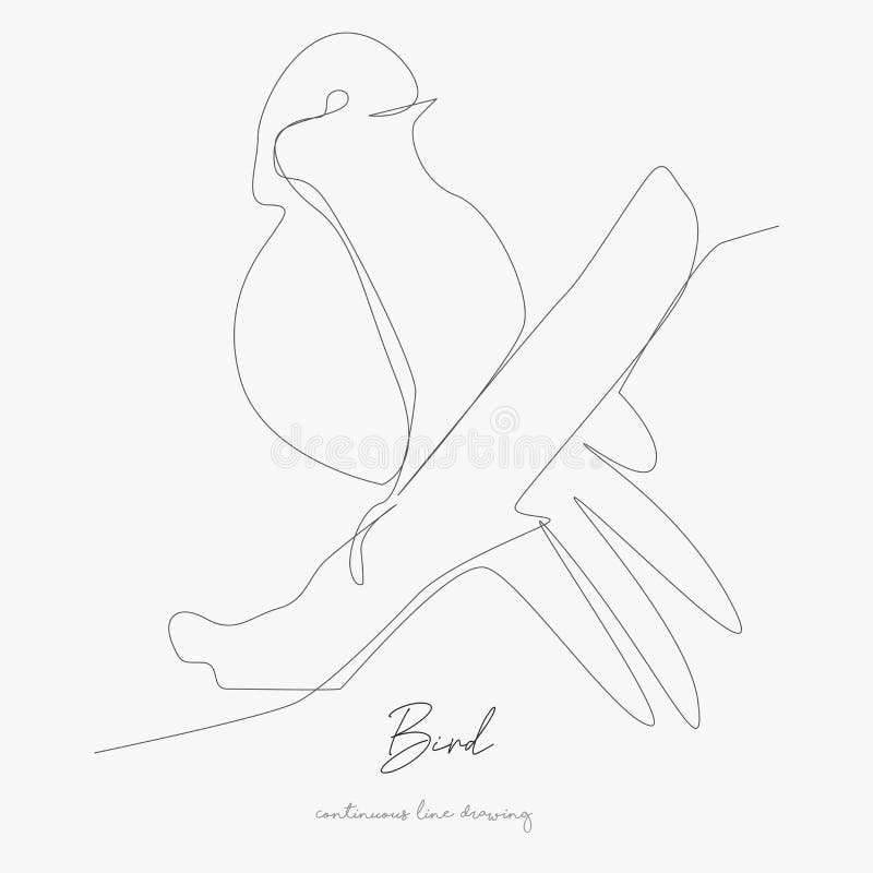 Continuous Line Drawing. Bird. Simple Vector Illustration. Bird Concept ...