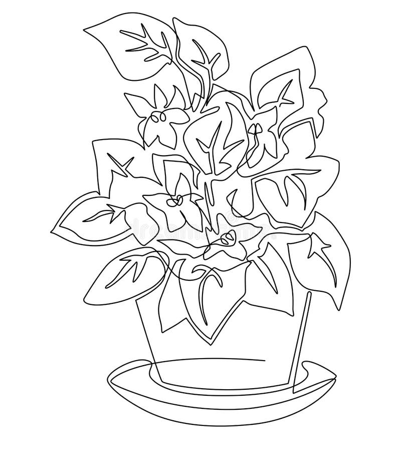 Continuous Line Drawing. Blooming Violet in a Flower Pot Stock Vector ...