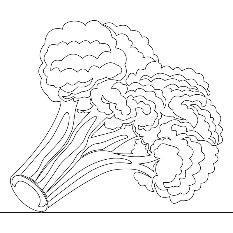 Continuous Line Drawing Broccoli Vegetables Silhouette Icon Vector ...