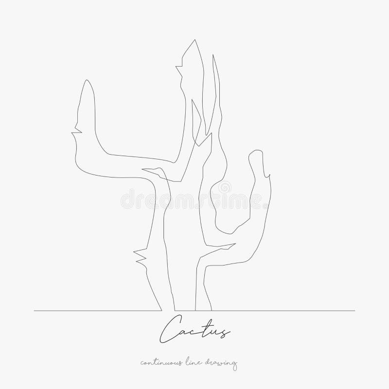 Continuous Line Drawing. Cactus. Simple Vector Illustration. Cactus ...